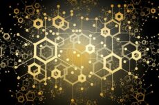 Blockchain Explorer - AGR Technology